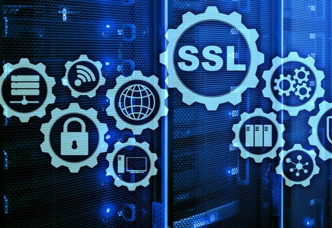 SSL Certificate - Paul Cloud Host